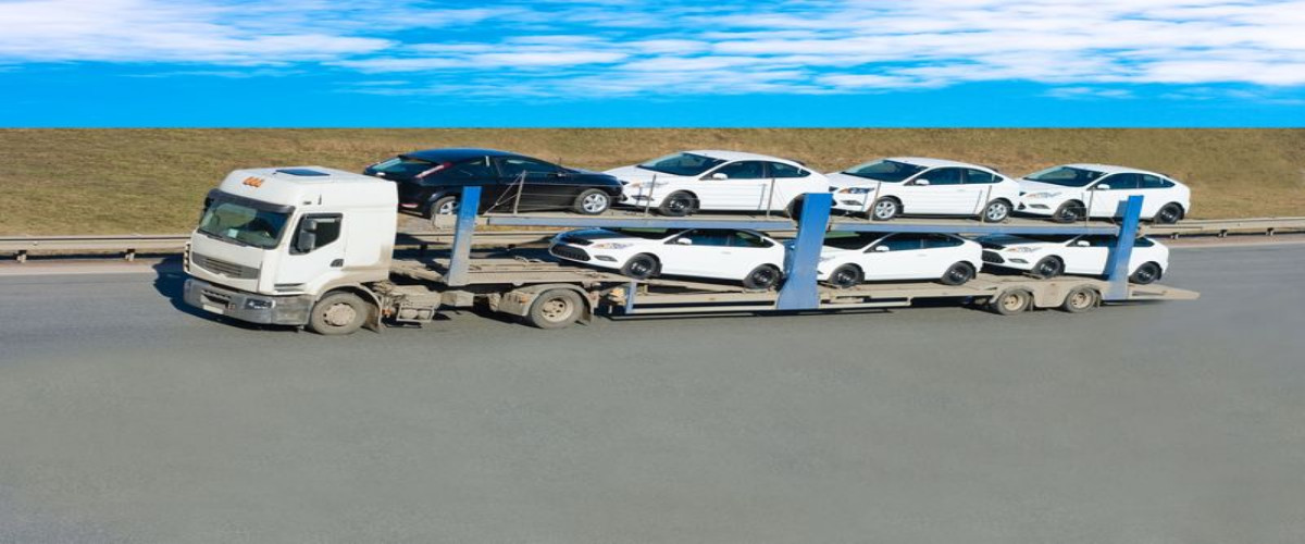 Choosing Car Transport Services - The Car Network